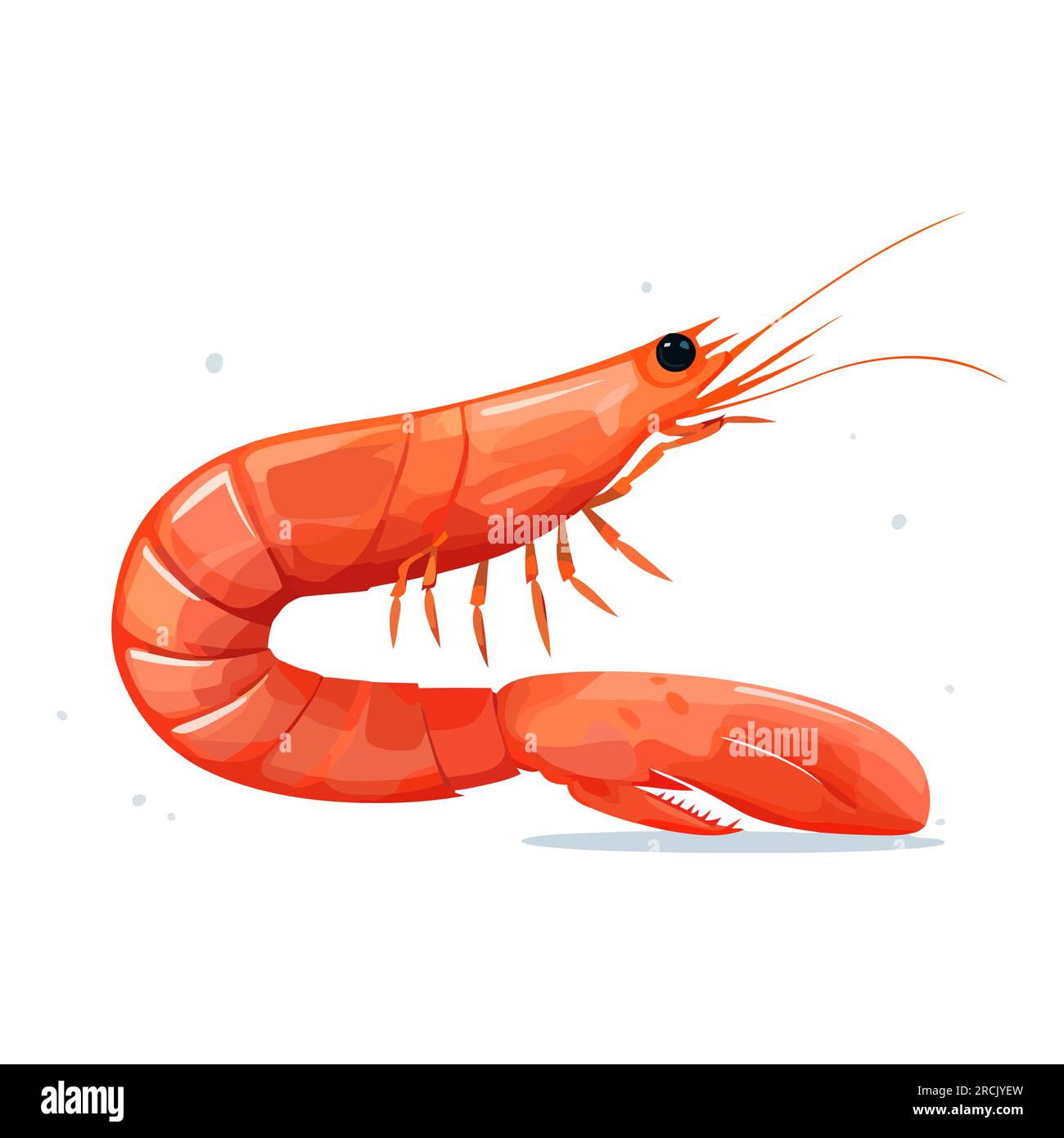 Shrimp image isolated. Shrimp icon. Cute red prawn in flat design ...