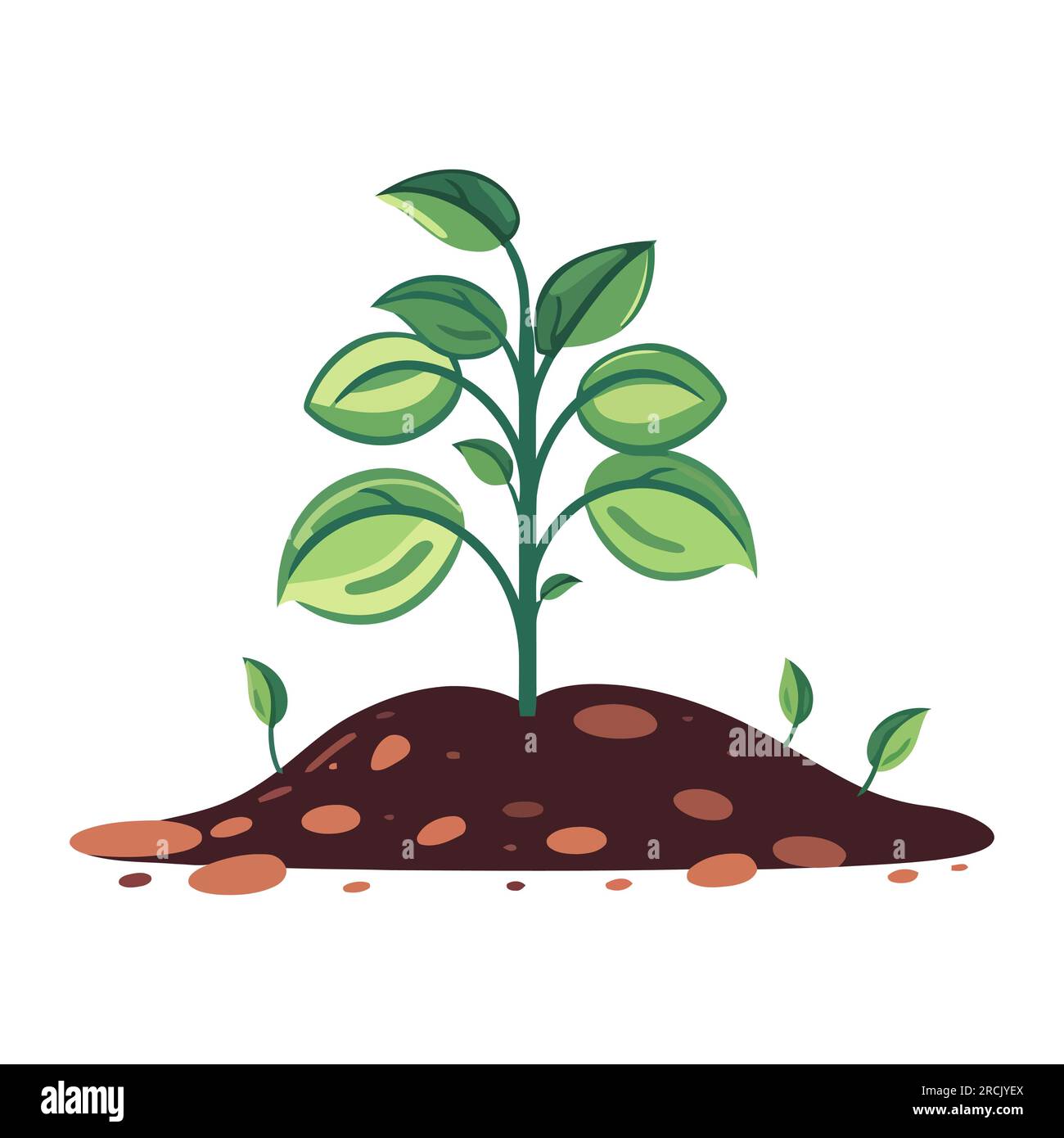 Young plant growing out of the ground. Plant growing from soil. Vector ...