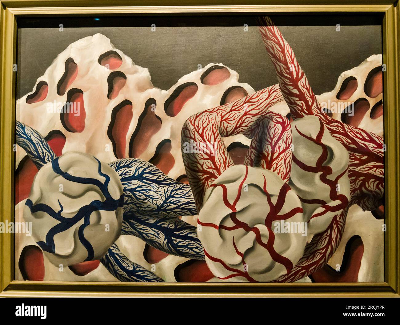 The Blood of the World by René Magritte, Magritte Museum, Brussels ...