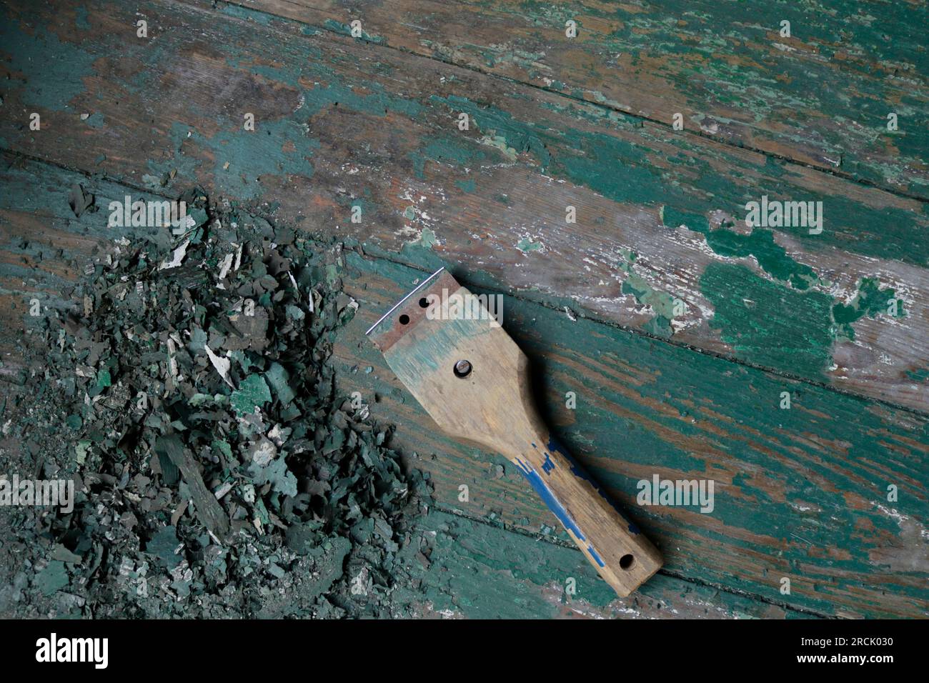 Scraping old peeling paint with a hand scraper from a wide plank wood ...