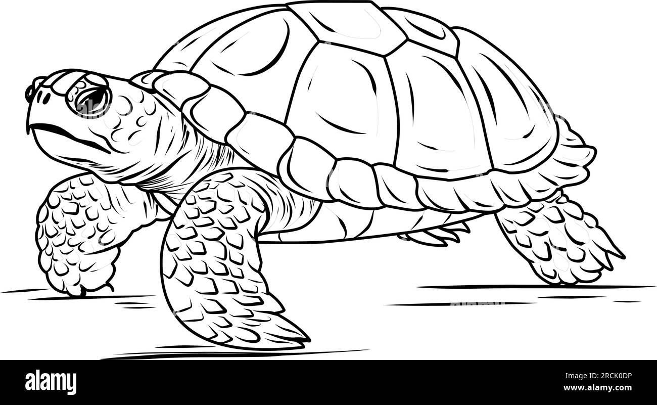 Sea coral coloring pages Cut Out Stock Images & Pictures - Alamy