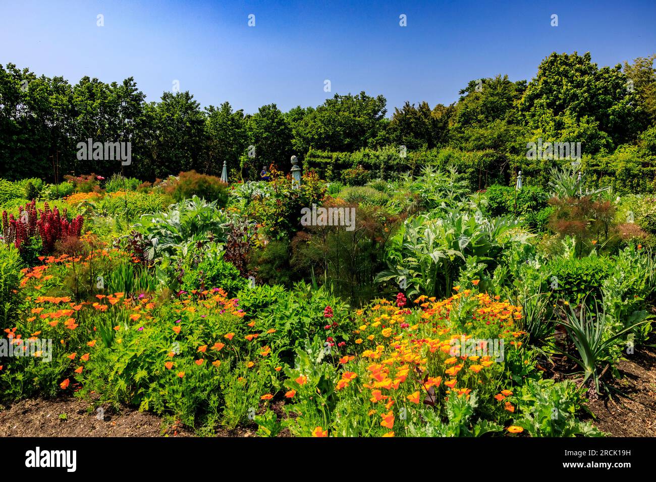 Near wareham hi-res stock photography and images - Alamy
