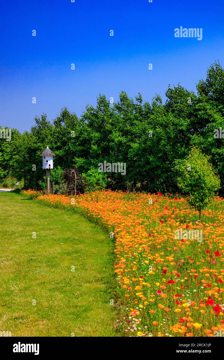 A traditional wooden dovecot rising from an impressive and colourful ...