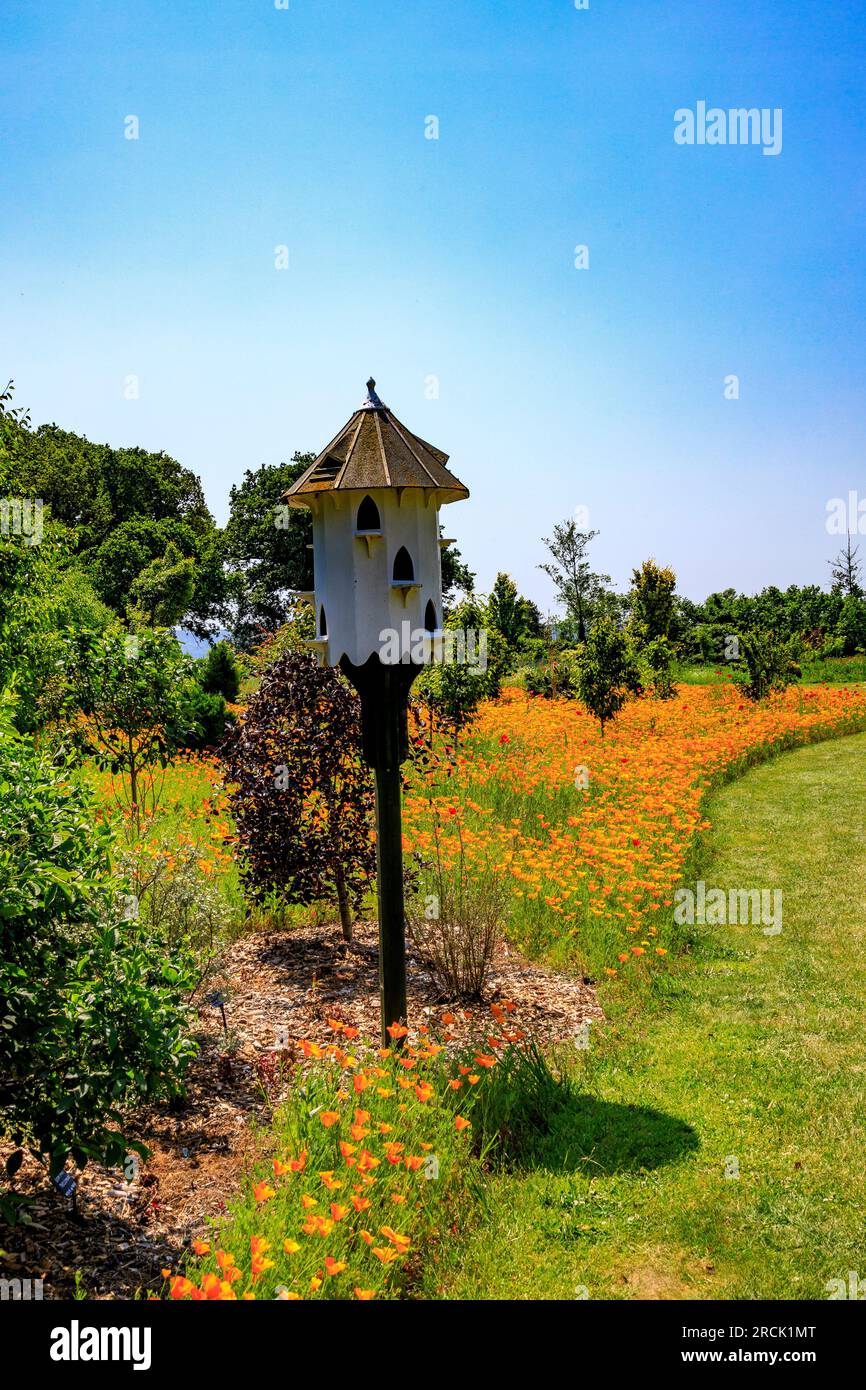 A traditional wooden dovecot rising from an impressive and colourful ...