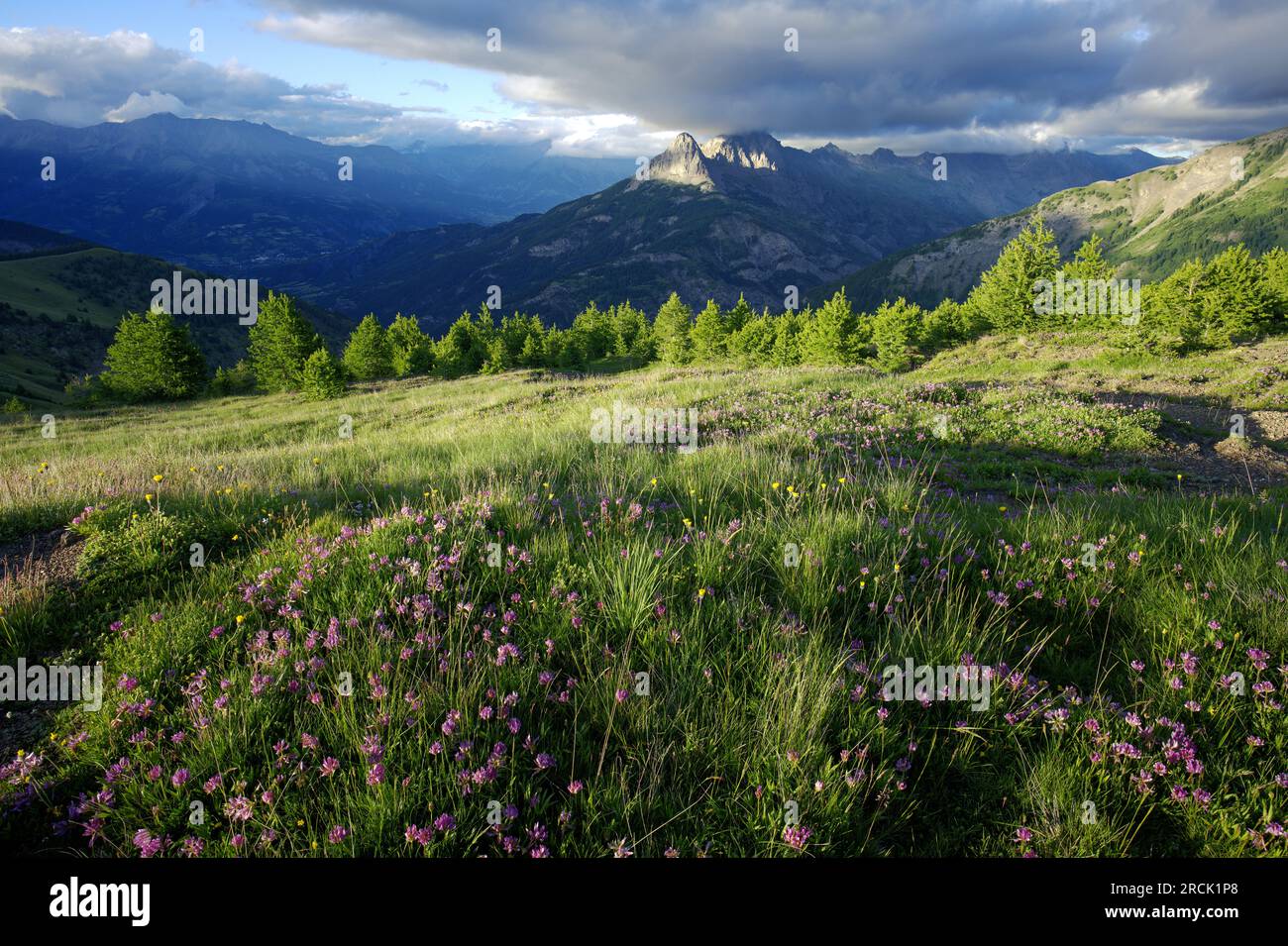 Scenery around the Col of Allos in the Alpes, France Stock Photo - Alamy