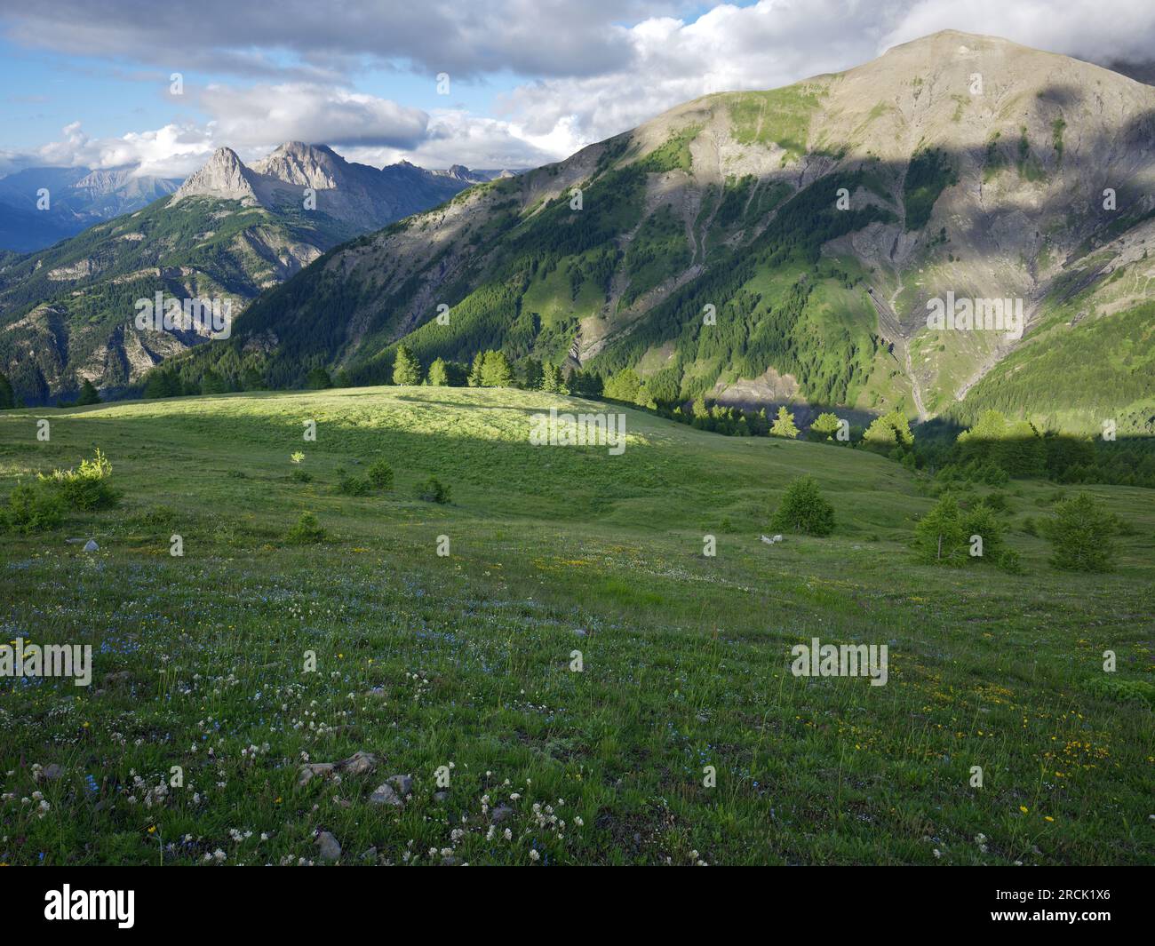 Scenery around the Col of Allos in the Alpes, France Stock Photo - Alamy