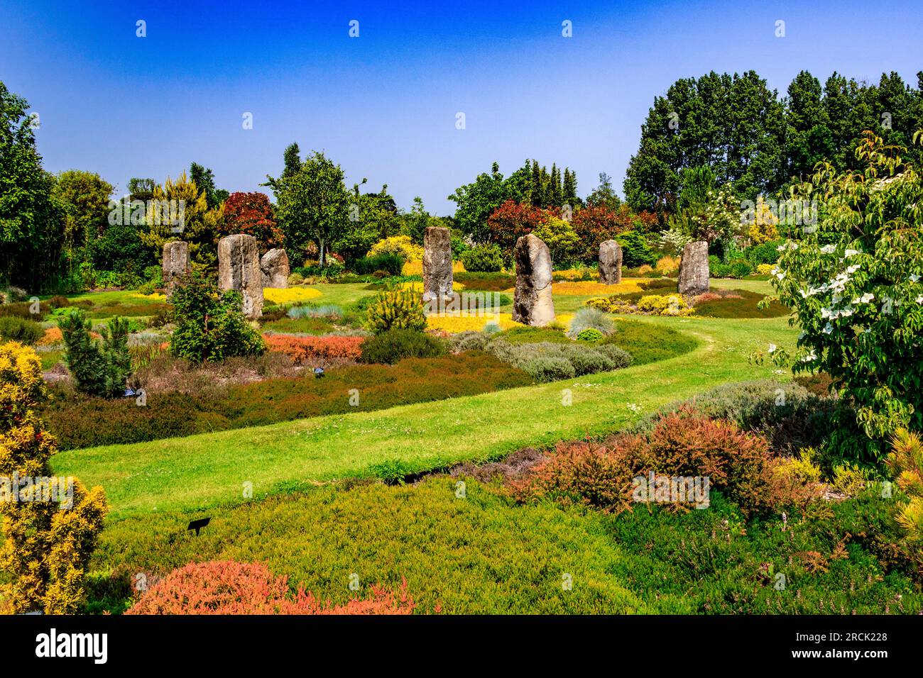 The Holme Henge with its Purbeck stone monoliths and colourful heathers ...