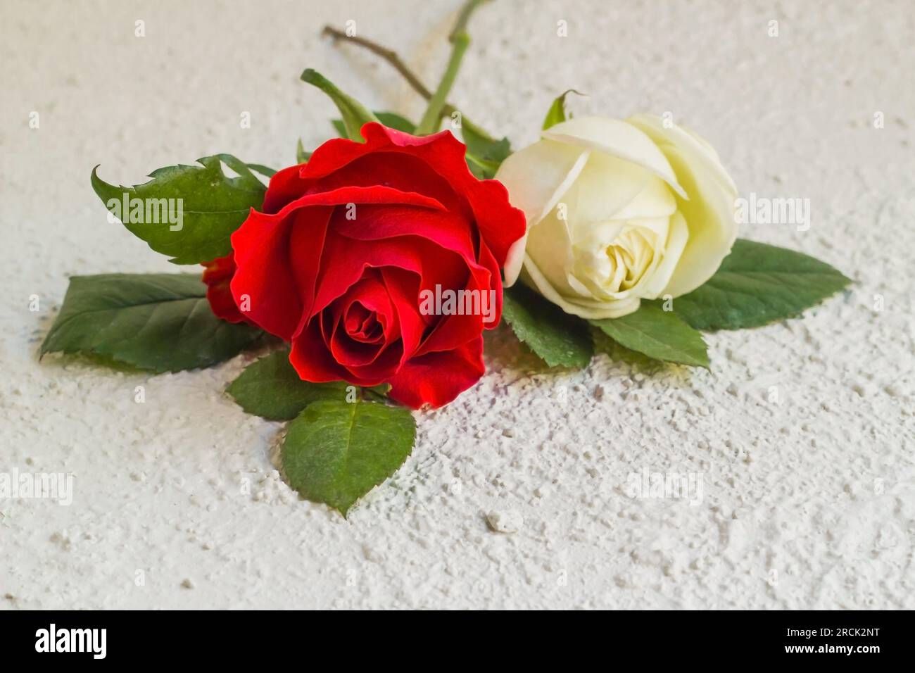 Jagged ribbon hi-res stock photography and images - Alamy