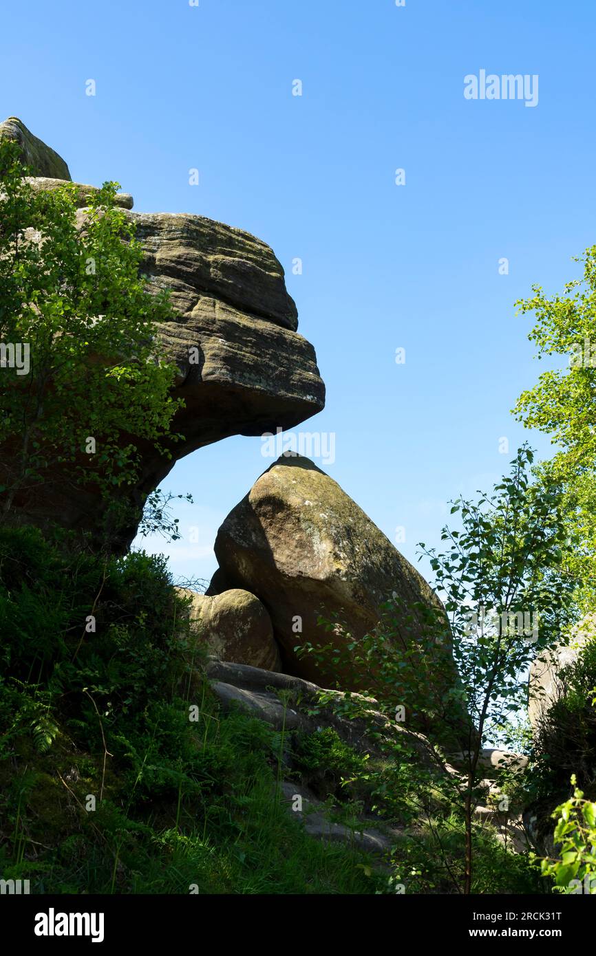 Overhanging rock, Brimham Rocks, Harrogate, North Yorkshire, England ...