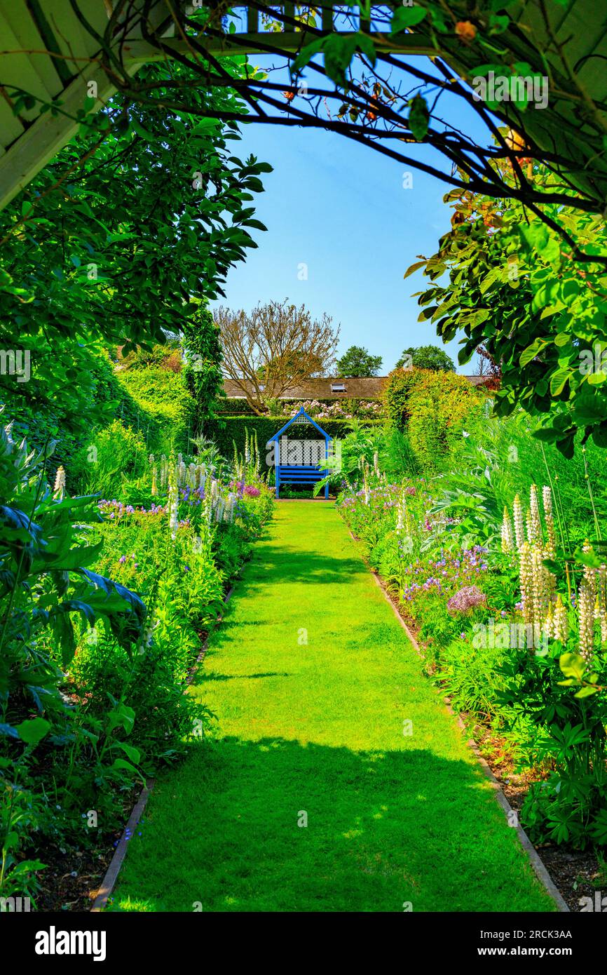 An attractive palette of blues and pinks in the Wedding Borders at the ...