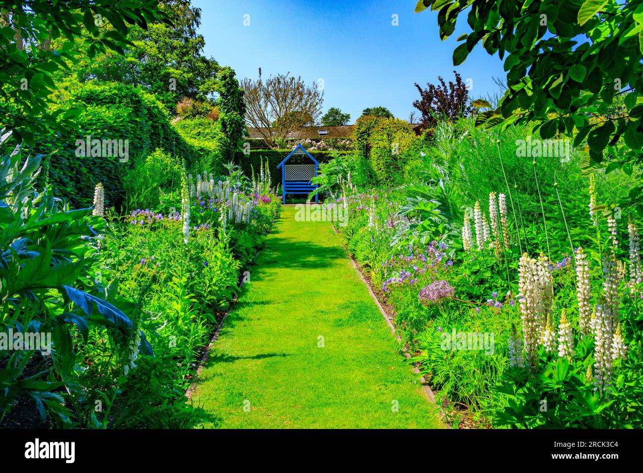 An attractive palette of blues and pinks in the Wedding Borders at the ...