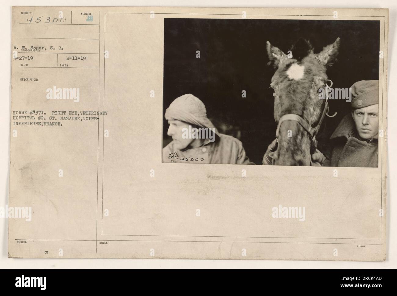 Blod description hi-res stock photography and images - Alamy