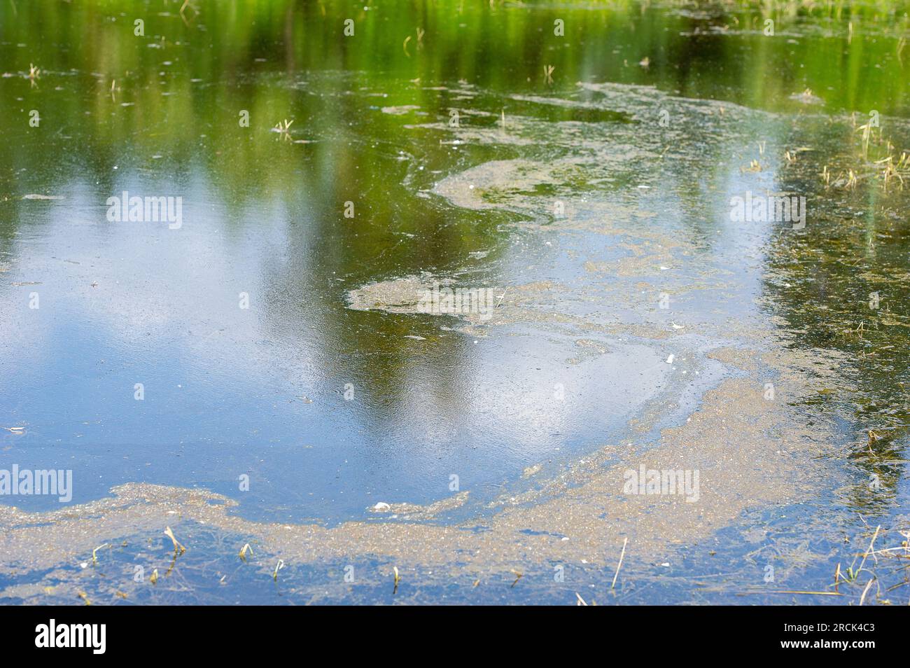 Flooding and pollution is reported hi-res stock photography and images ...