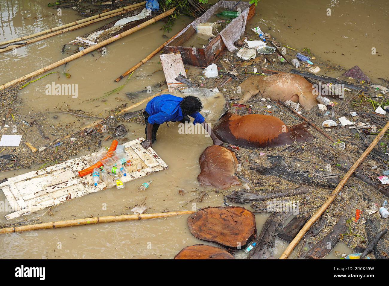 New Delhi, Delhi, India. 14th July, 2023. Aman moves a cow to check for ...