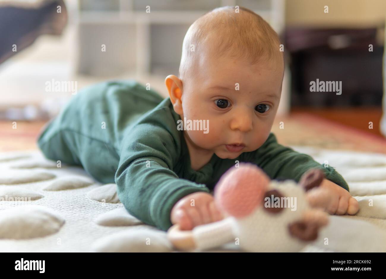 3.5 months old Stock Photo - Alamy