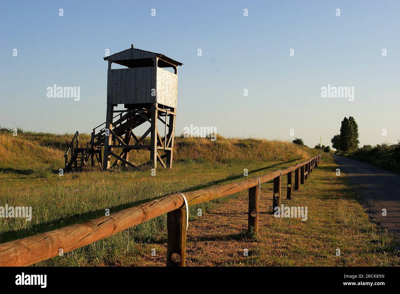 Birdwatching tower in Valle Bertuzzi, Po delta park, Veneto, Italy, Po ...