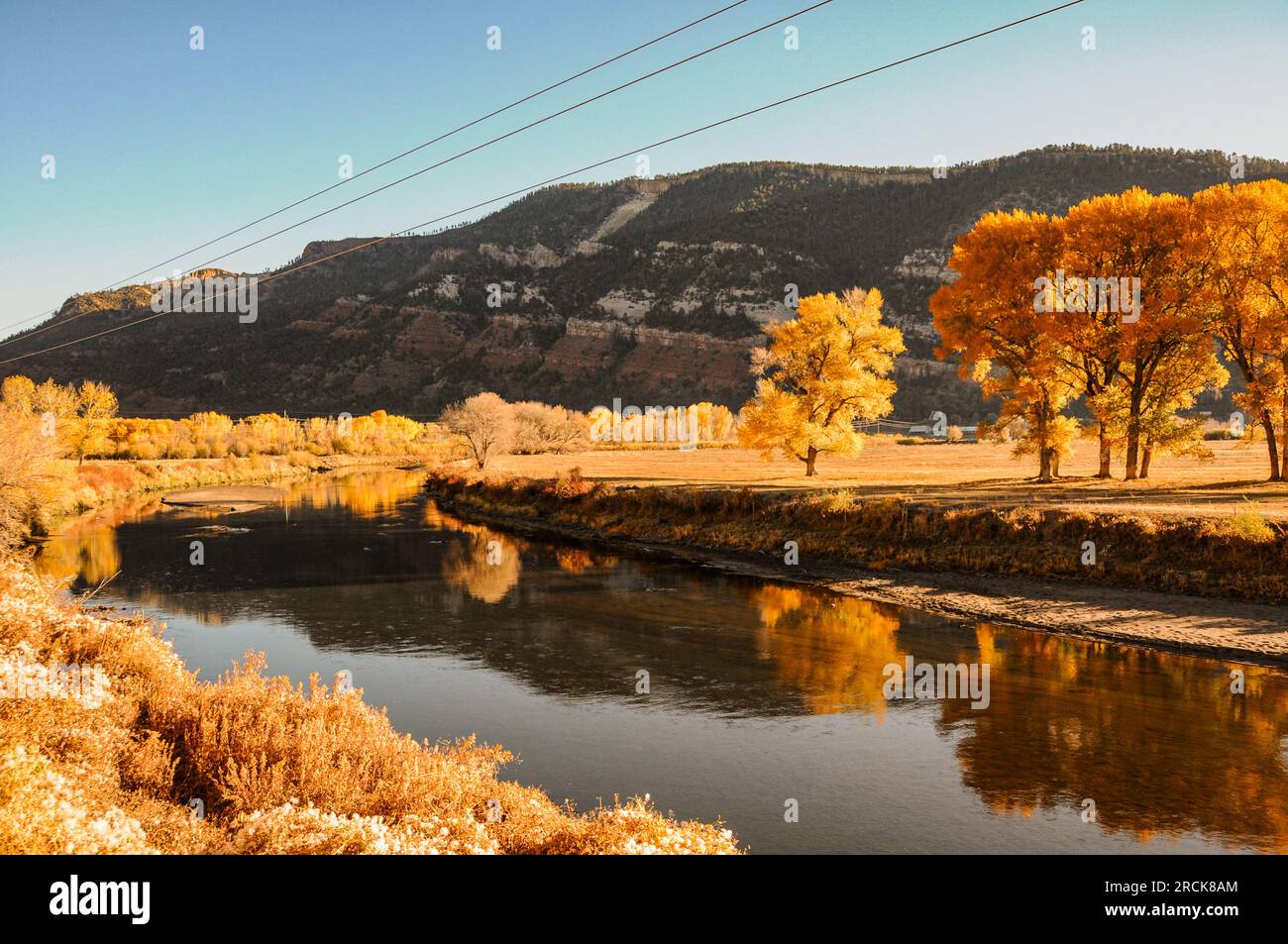 Animas river with aspen displaying bright fall colours in Colorado, USA ...