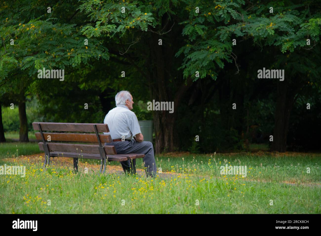 Grandparent sitting on bench hi-res stock photography and images - Alamy