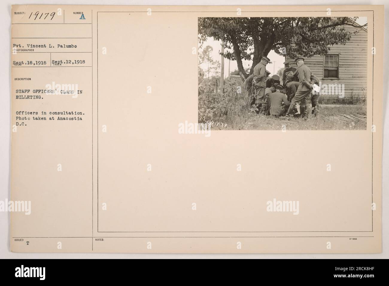 Military activities during ww1 hi-res stock photography and images - Alamy