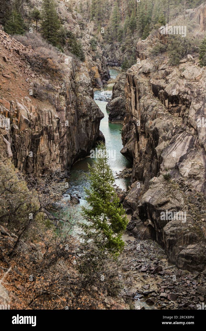 The beautiful blue-green Animas River in Colorado, USA, between Durango ...