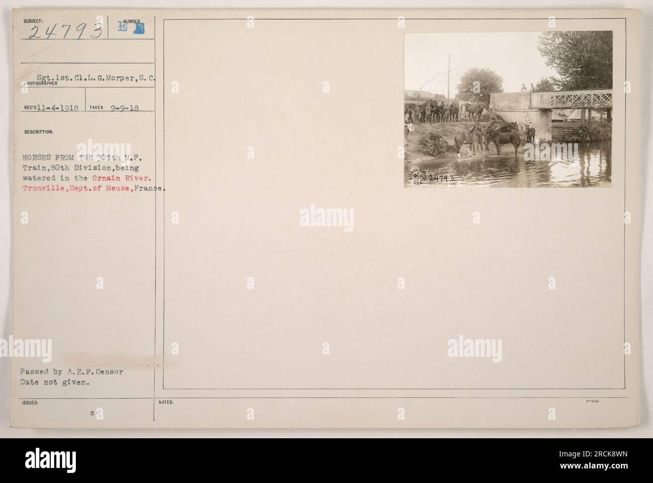 305th m p train hi-res stock photography and images - Alamy