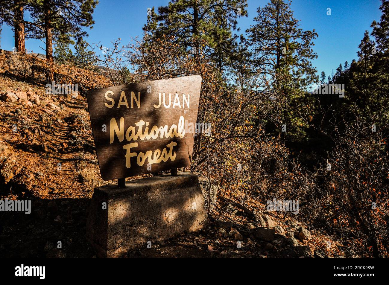 Sign entering the San Juan National Forest in Colorado, USA Stock Photo ...