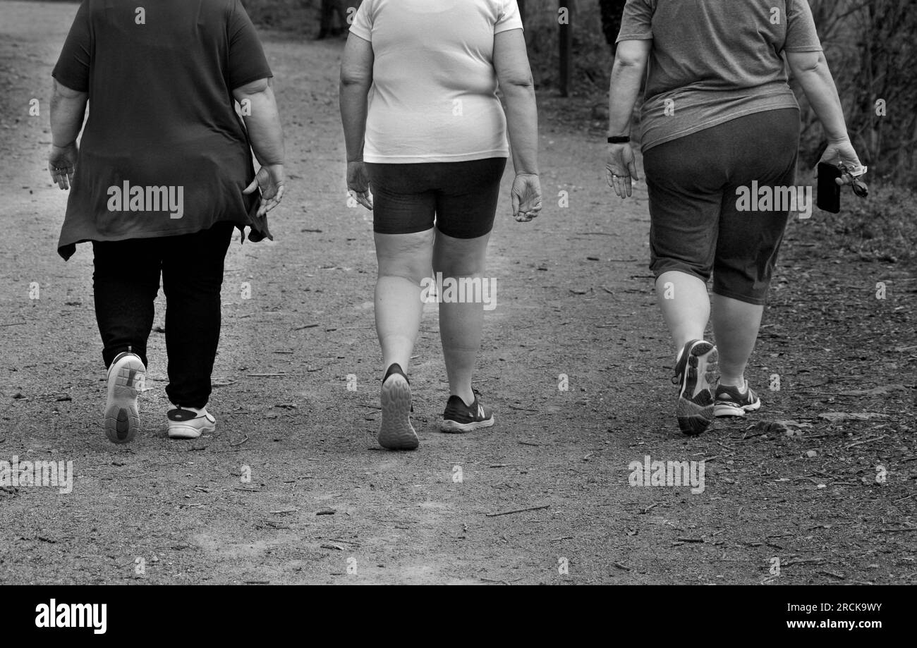 Three women walk along the Virginia Creeper Trail, a popular hiking ...