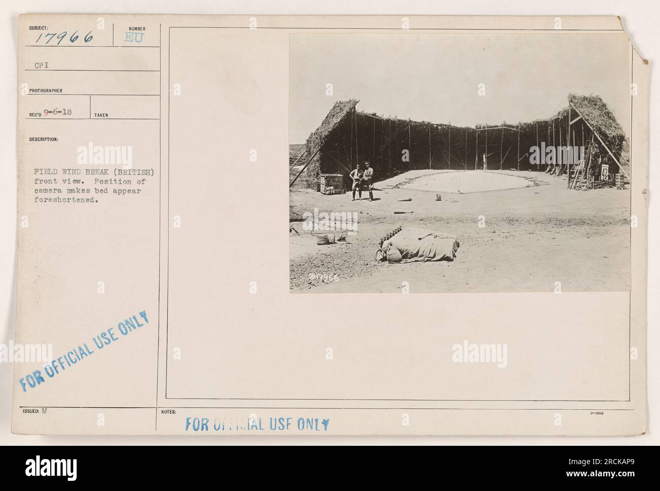 A photograph showing a front view of a British field wind break during ...