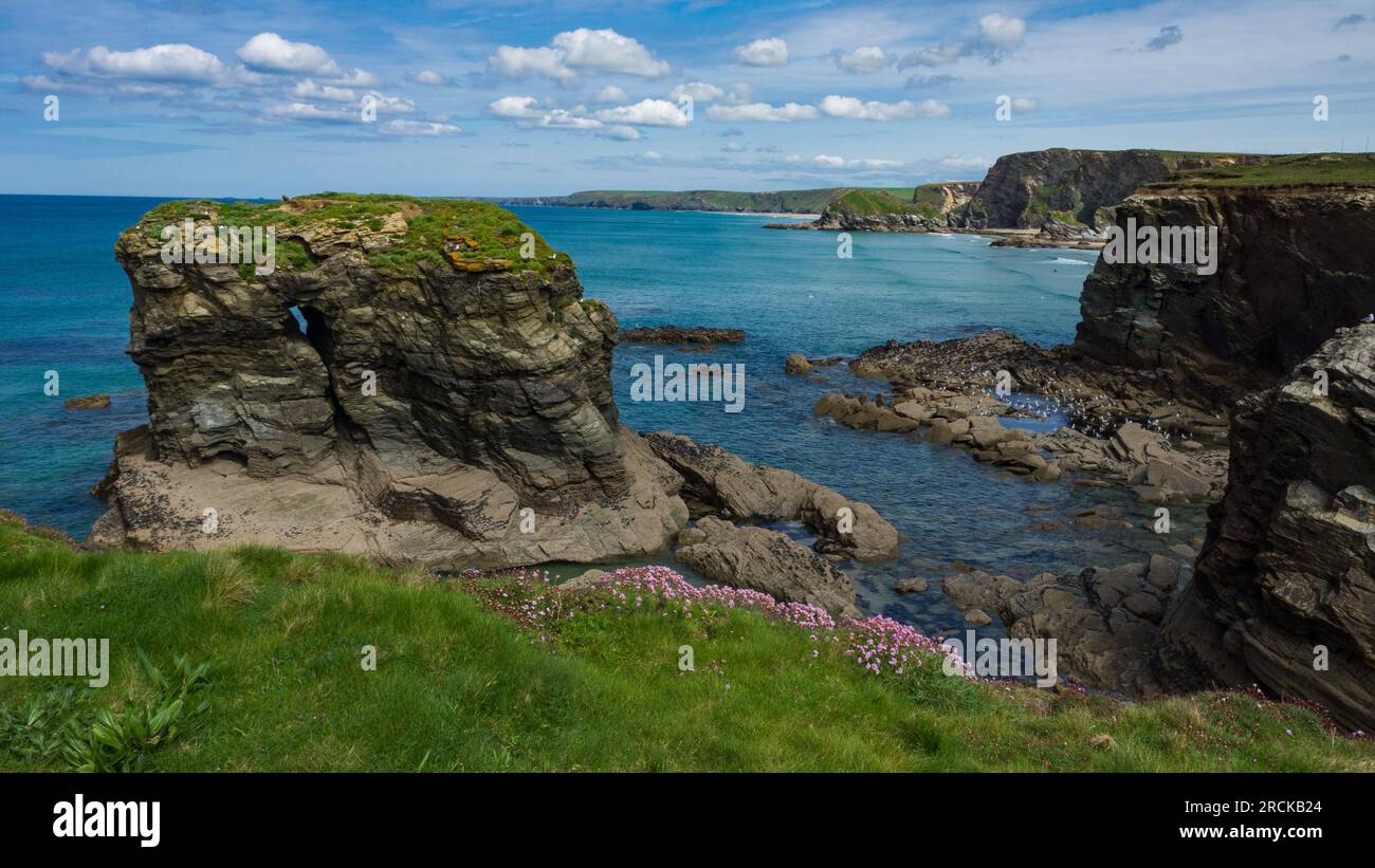 Coastal paths rugged cliffs hi-res stock photography and images - Alamy