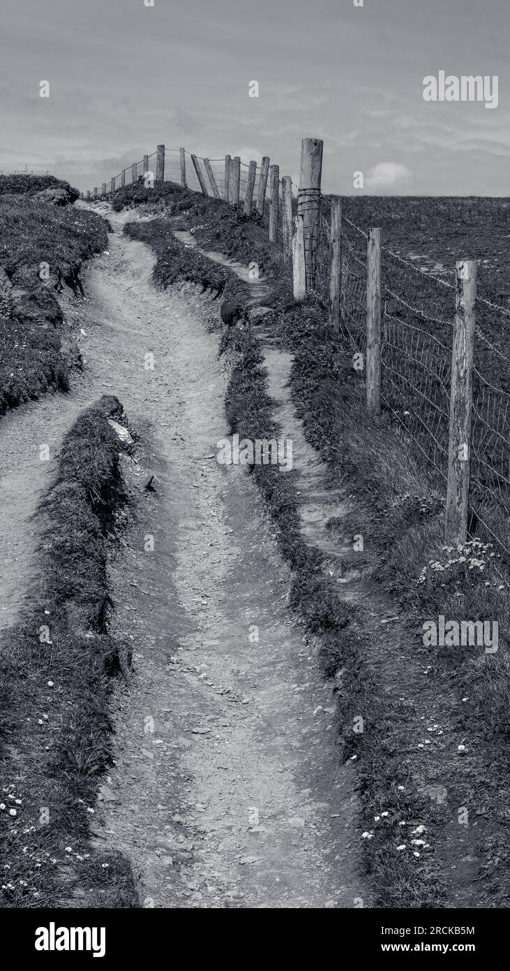 Trodden grass hi-res stock photography and images - Alamy
