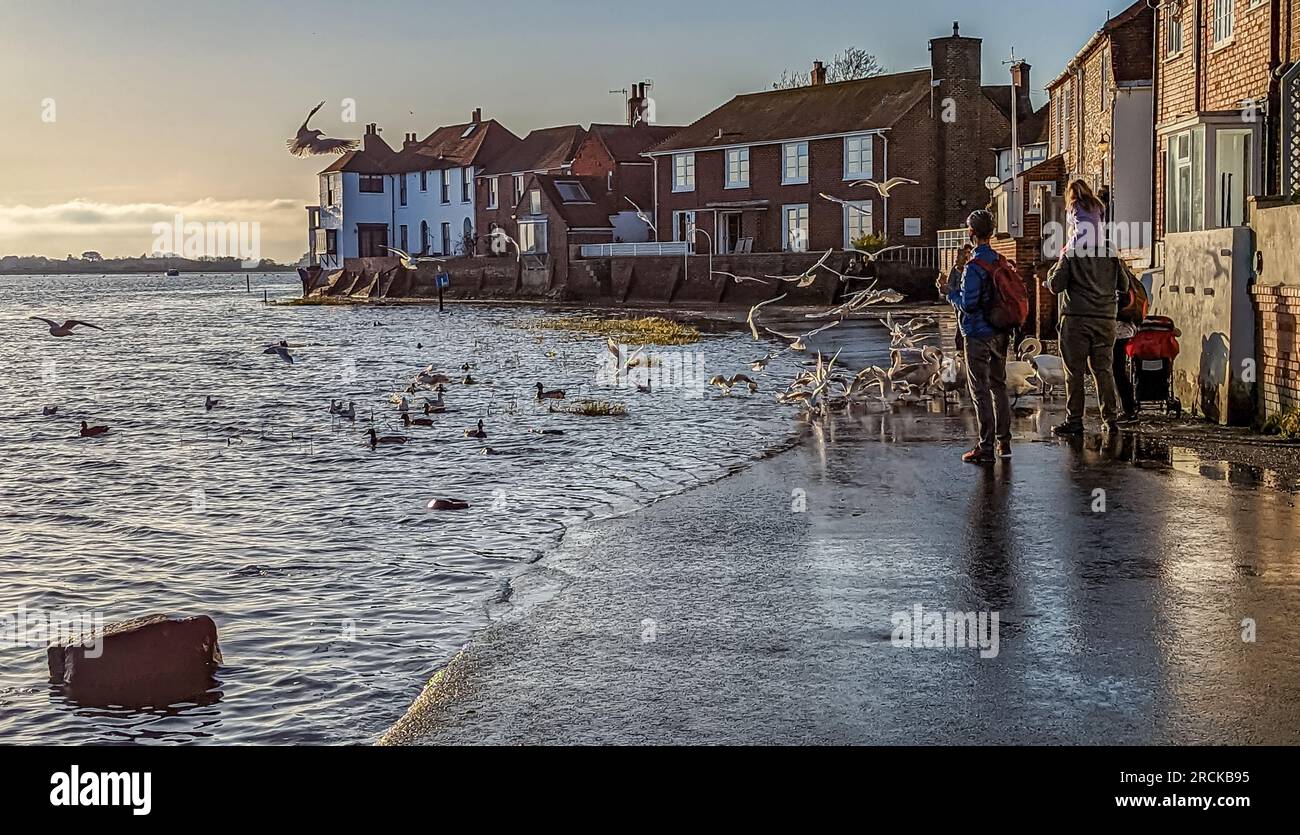 Bosham fishing village hi-res stock photography and images - Alamy