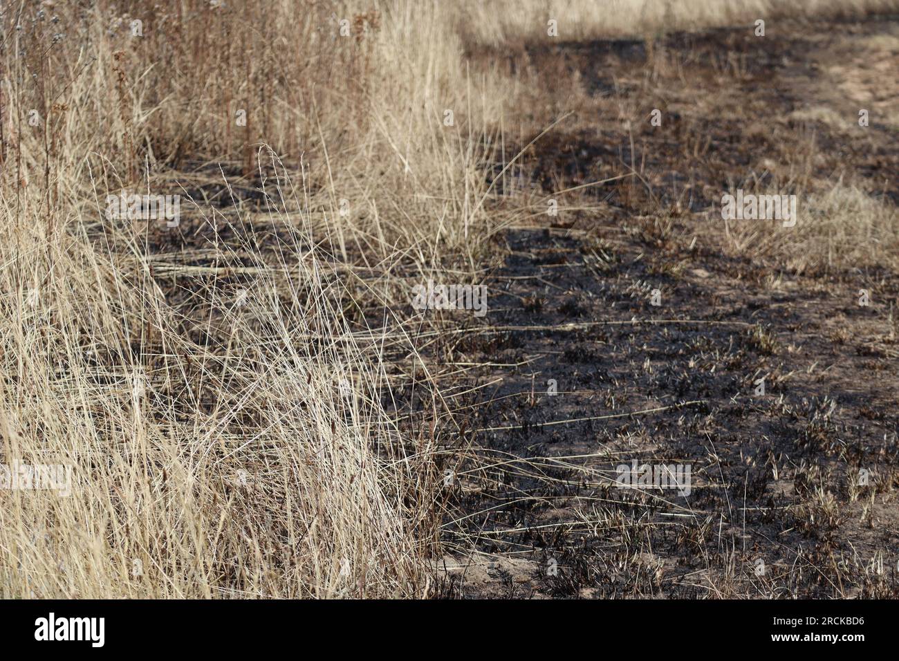 Roadside wildfire hi-res stock photography and images - Alamy