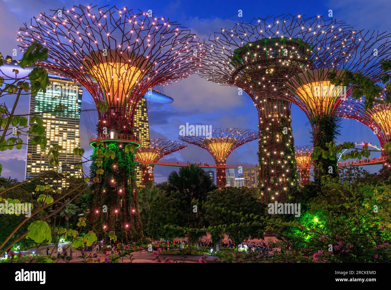 SuperTrees at Gardens by the Bay, Singapore Stock Photo - Alamy