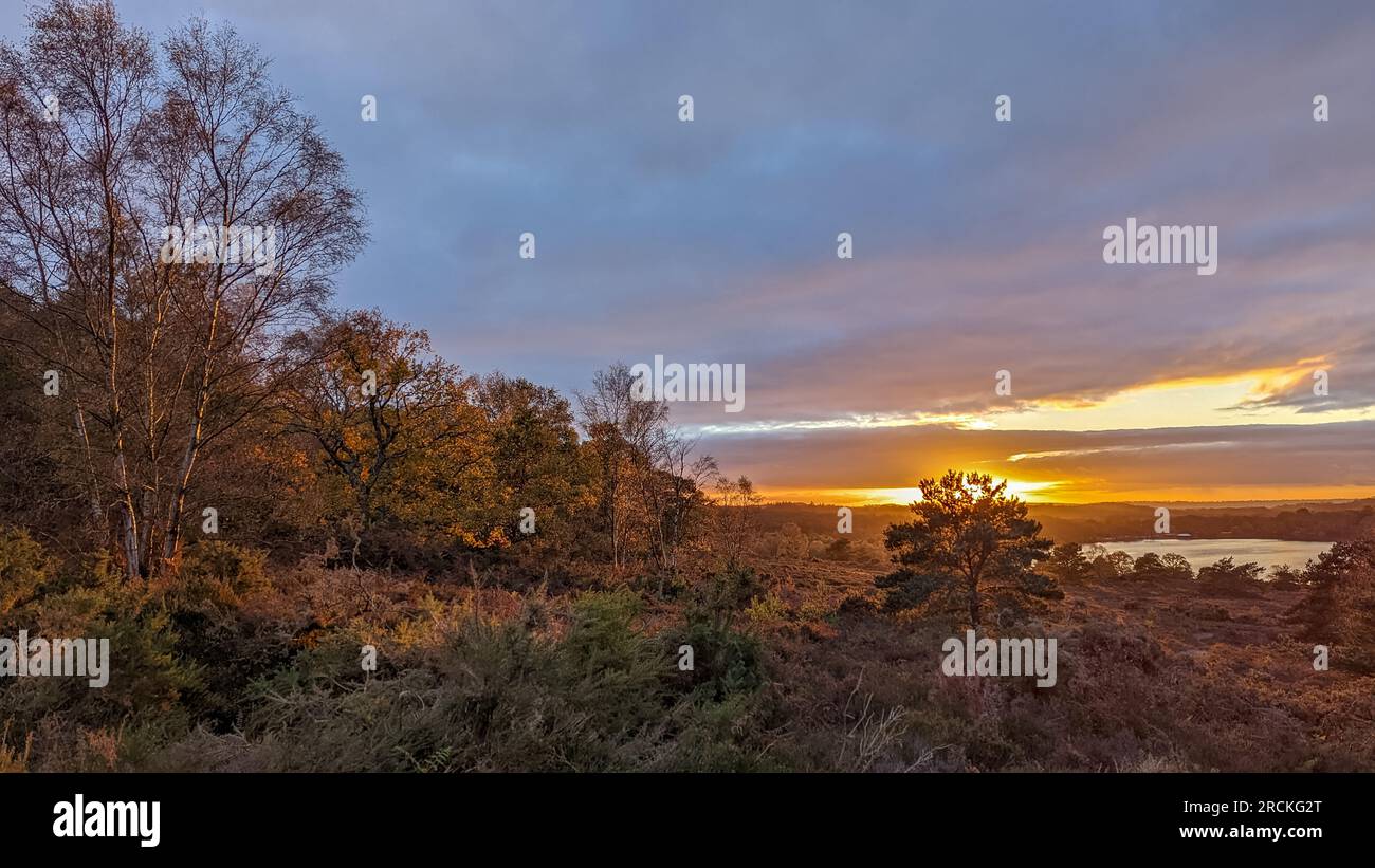View around Frensham Common great and little pond in winter sunset ...