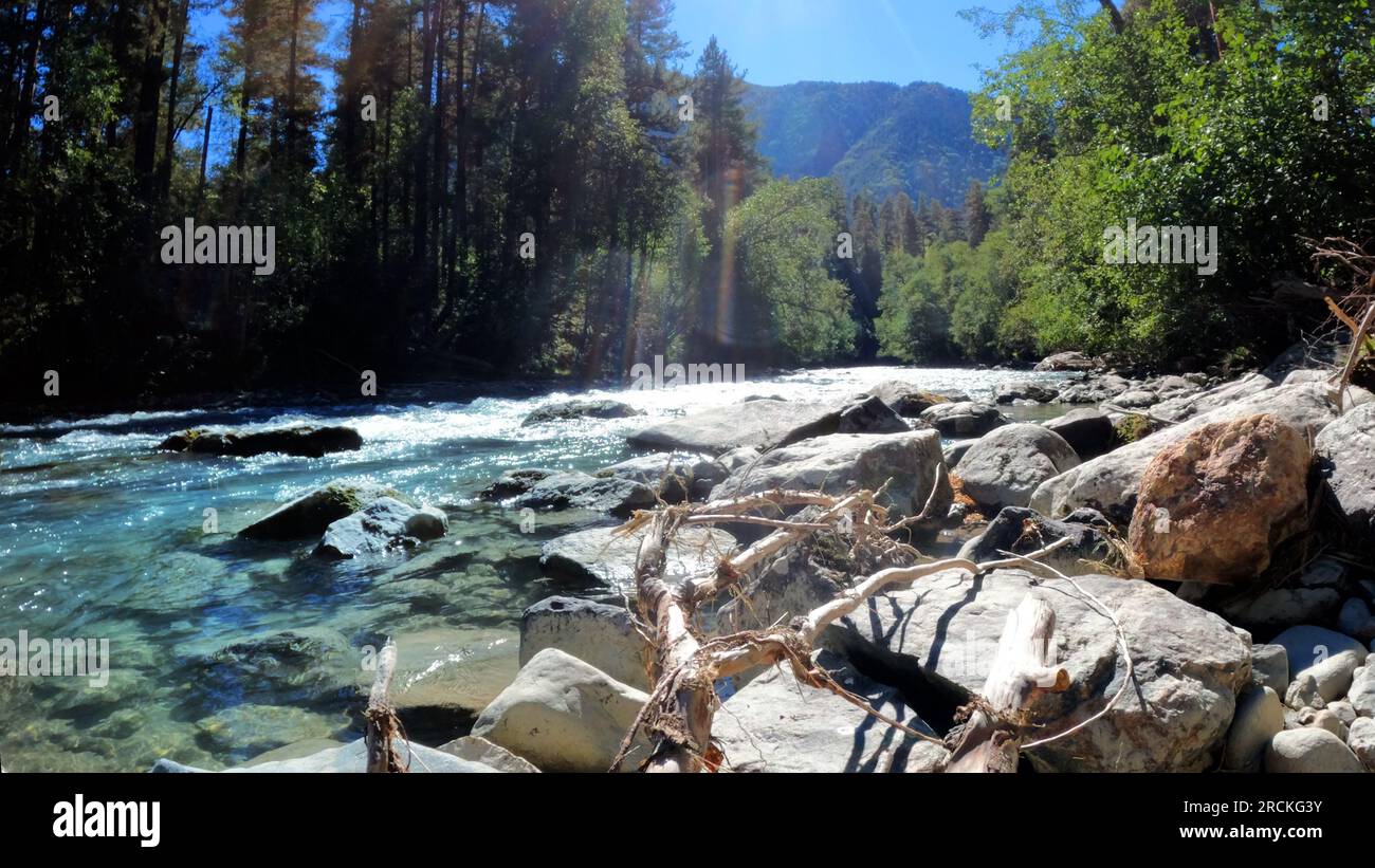 cute fast mountain ridge river with clear water at summertime day ...