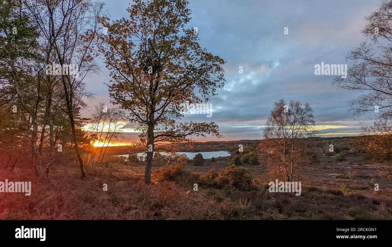 View around Frensham Common great and little pond in winter sunset ...