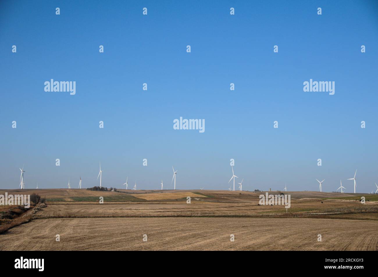 Wind farm for renewable electric wind energy production in American ...