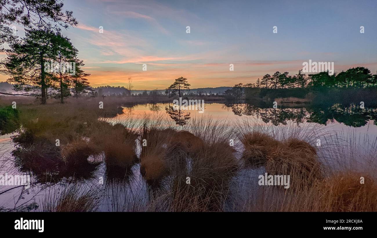 View around Frensham Common great and little pond in winter sunset ...