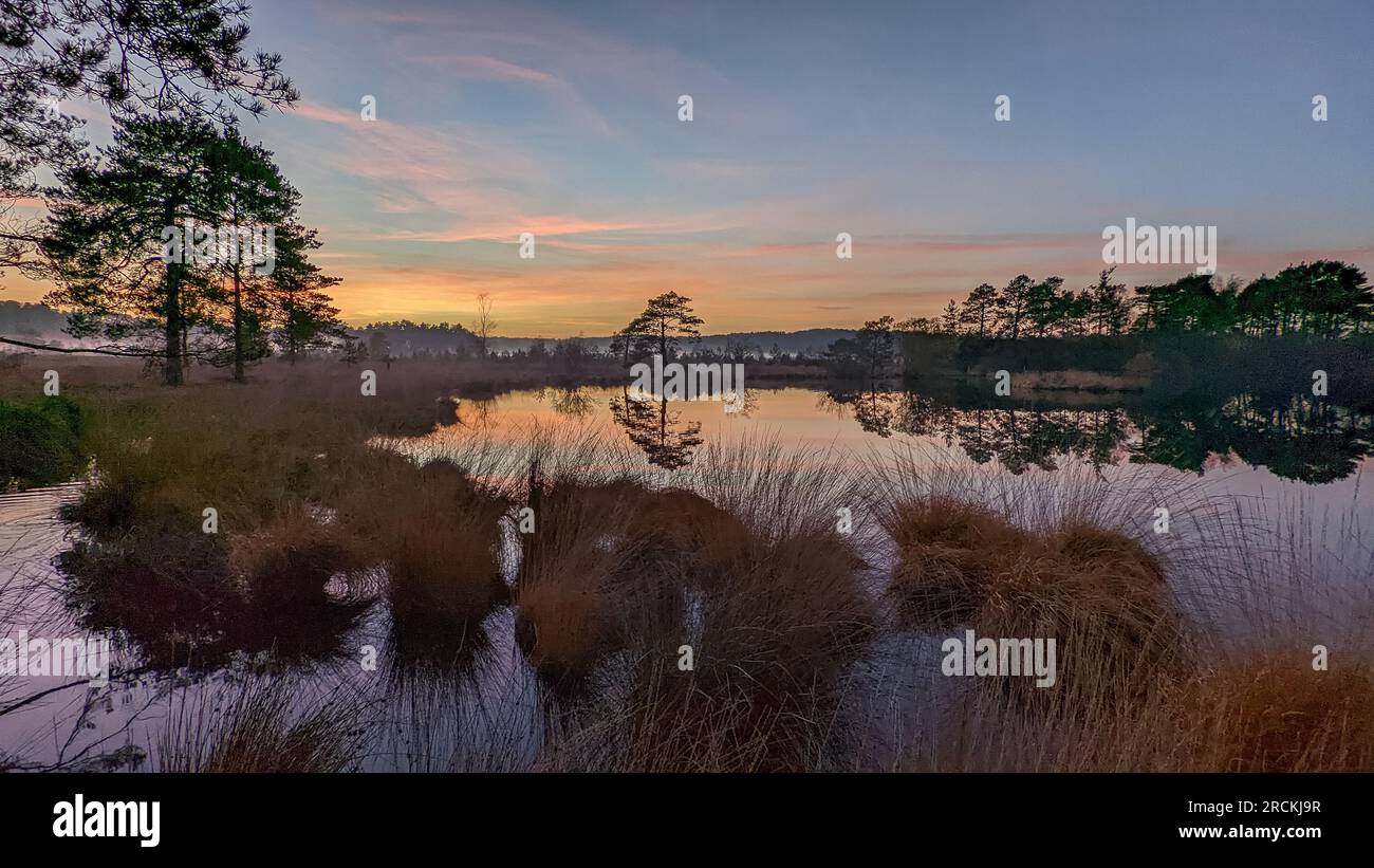 View around Frensham Common great and little pond in winter sunset ...