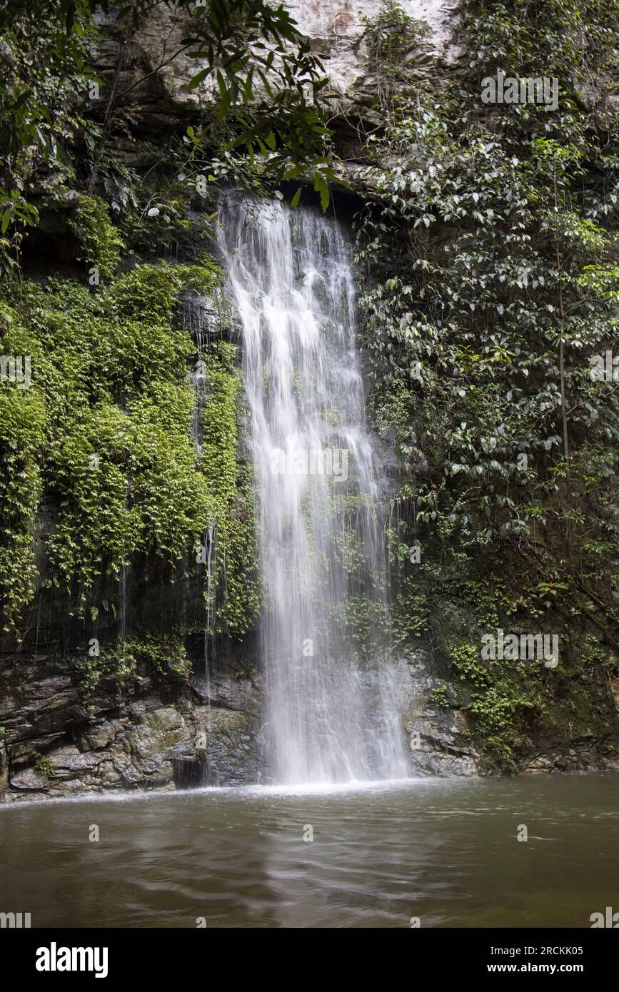 Waterfall on the Paku river, rainforest, Mulu, Malaysia Stock Photo - Alamy