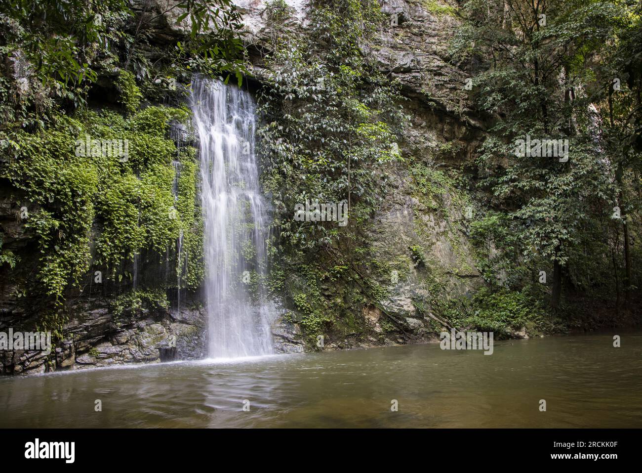 Waterfall on the Paku river, rainforest, Mulu, Malaysia Stock Photo - Alamy