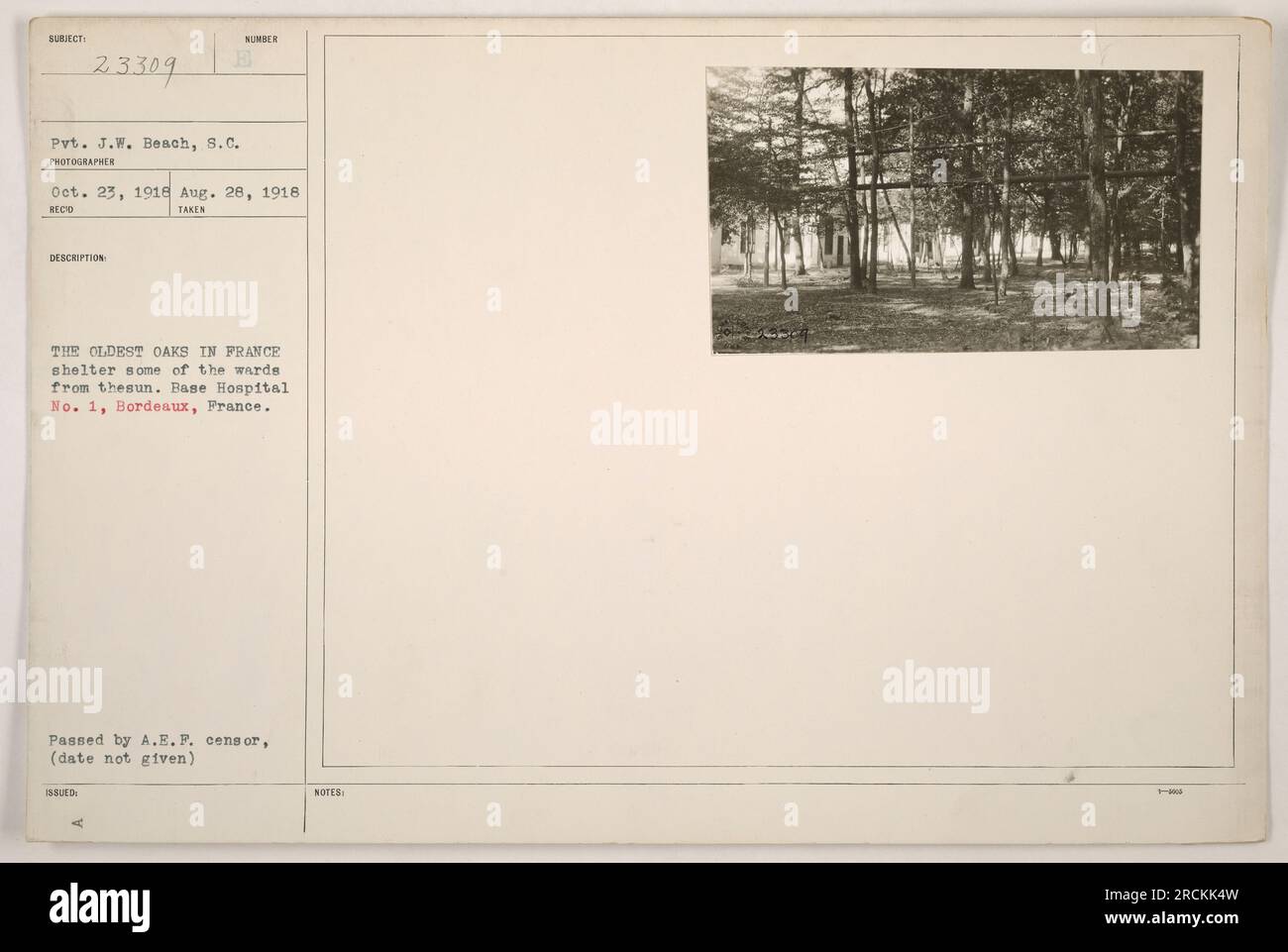 Pvt. J.W. Beach can be seen at Base Hospital No. 1 in Bordeaux, France ...