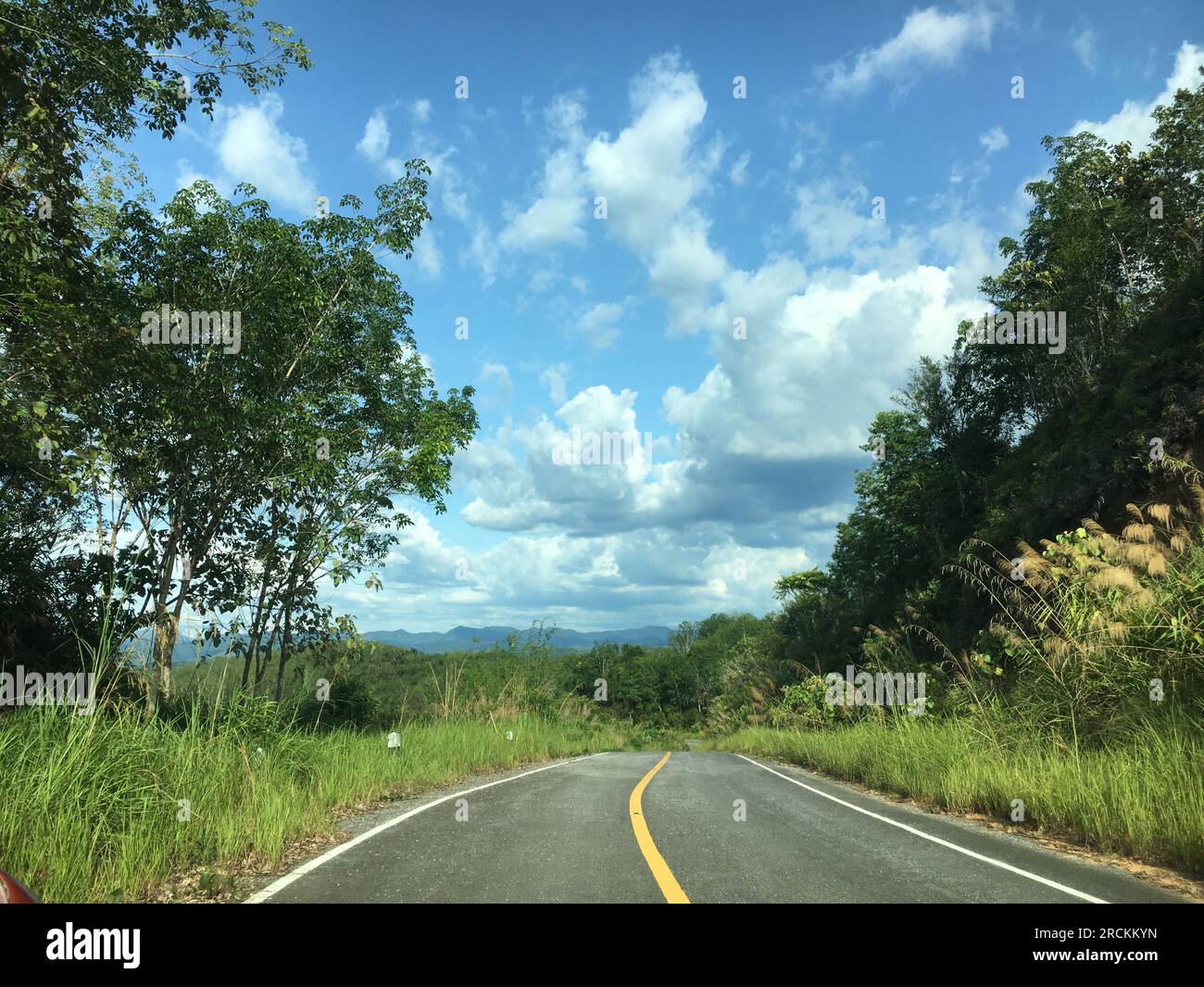 Road in forest in beautiful day in spring. Beautiful mountain curved ...