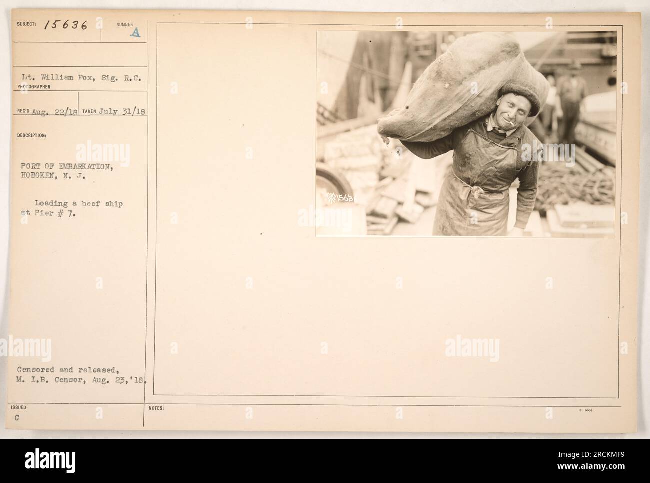 Loading a beef ship hi-res stock photography and images - Alamy
