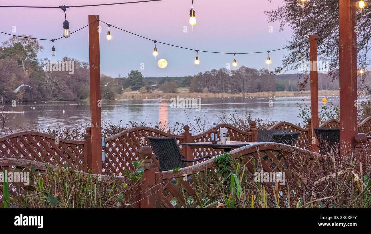 View around Frensham Common great and little pond in winter sunset ...