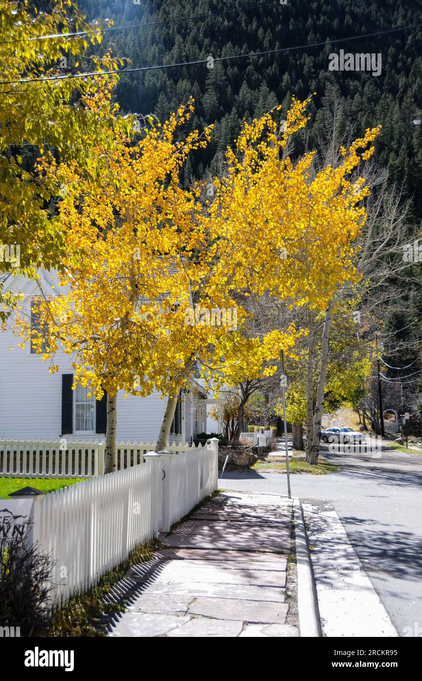 Autumn in georgetown hi-res stock photography and images - Alamy