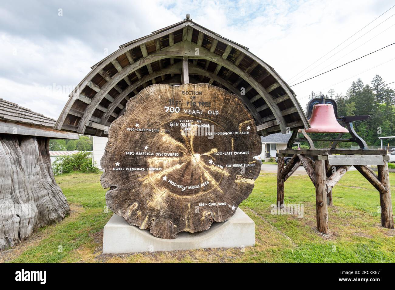 Arlington WA USA May 24, 2023: an old fir tree at The Stillaguamish ...