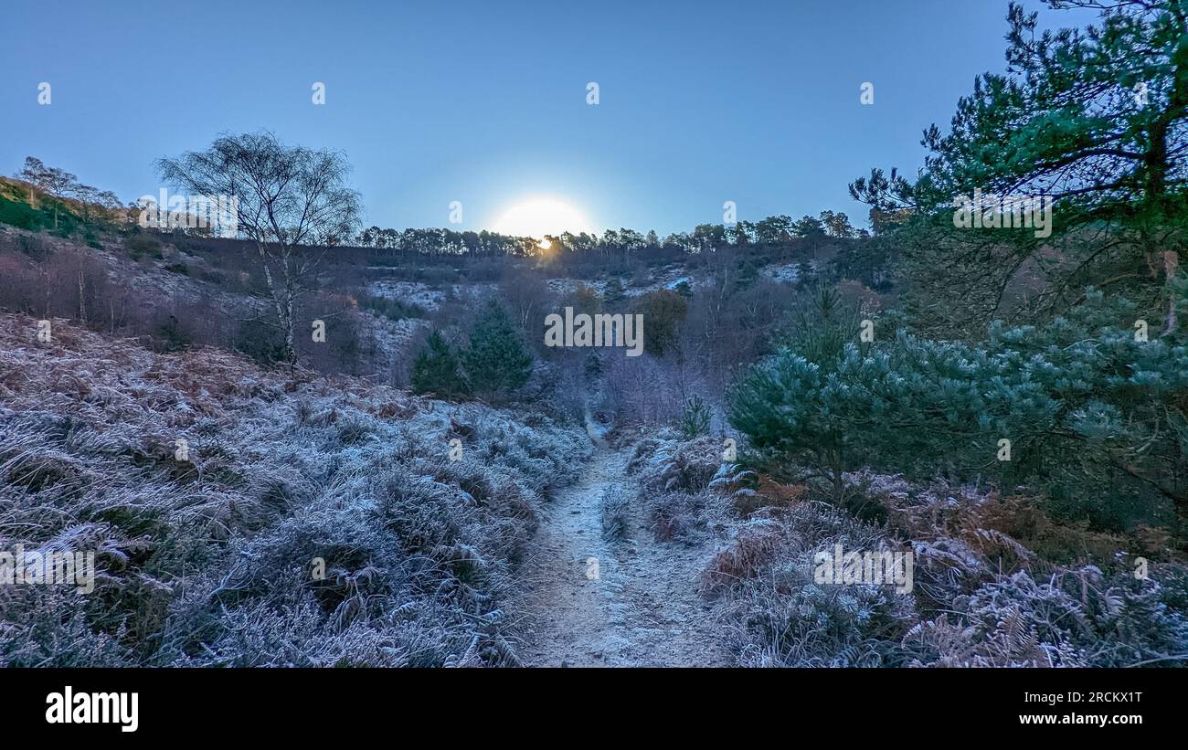 Views of the Devils Punchbowl winter frost sunlight glistening foliage ...