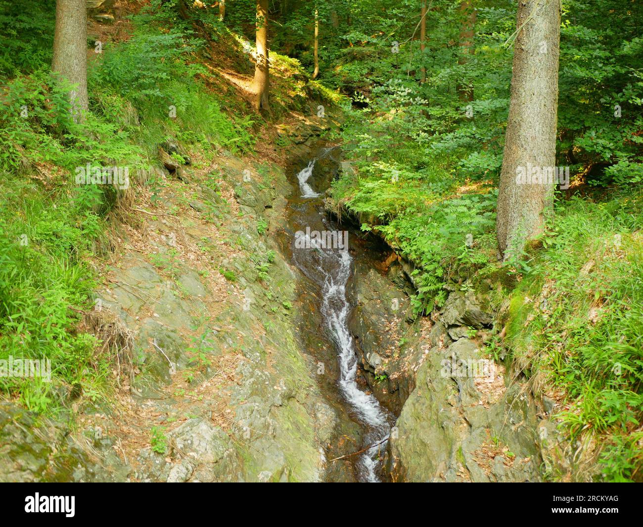 Waterfalls forest stream way through stones fairytale summer landscape ...