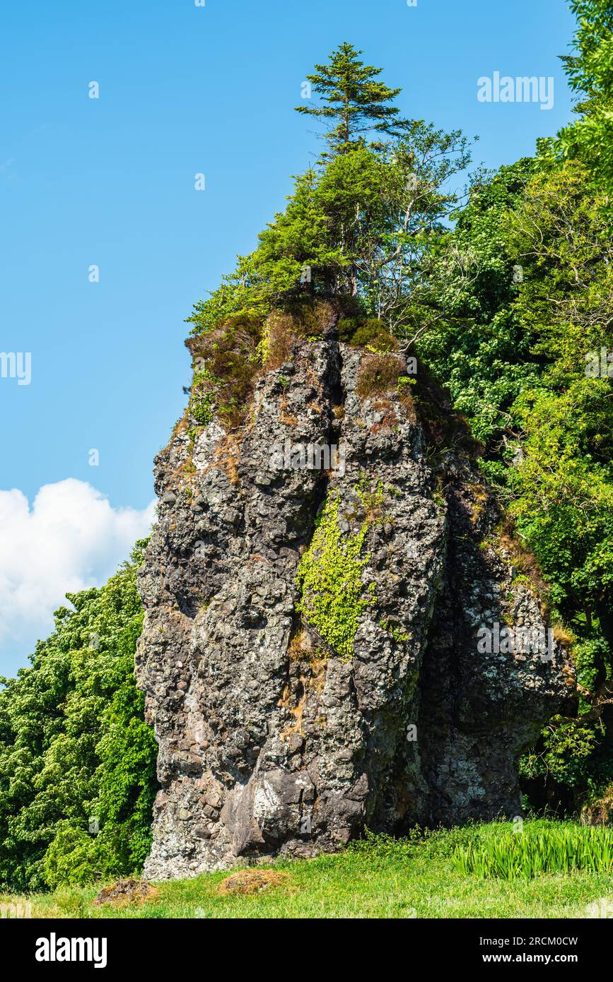 Dog stone oban hi-res stock photography and images - Alamy